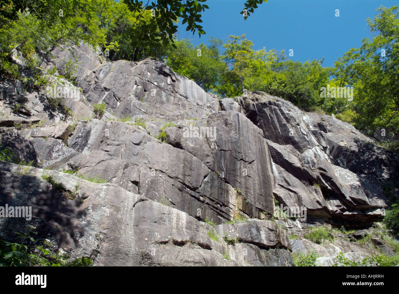 Frankenstein Cliff Trail during the summer months Located in the White ...