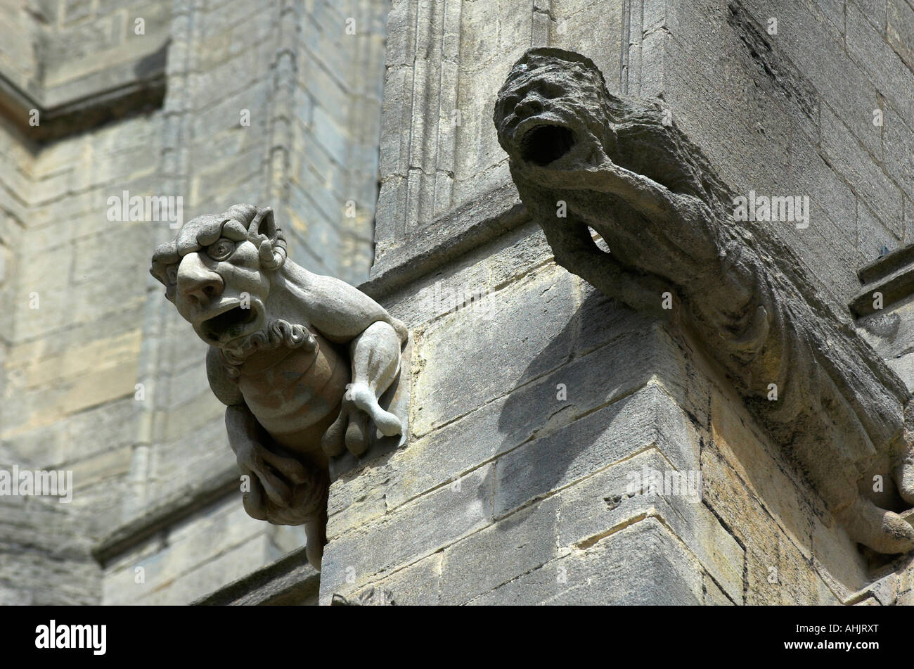 Gargoyle and weathered angel on Ely Cathedral Stock Photo - Alamy