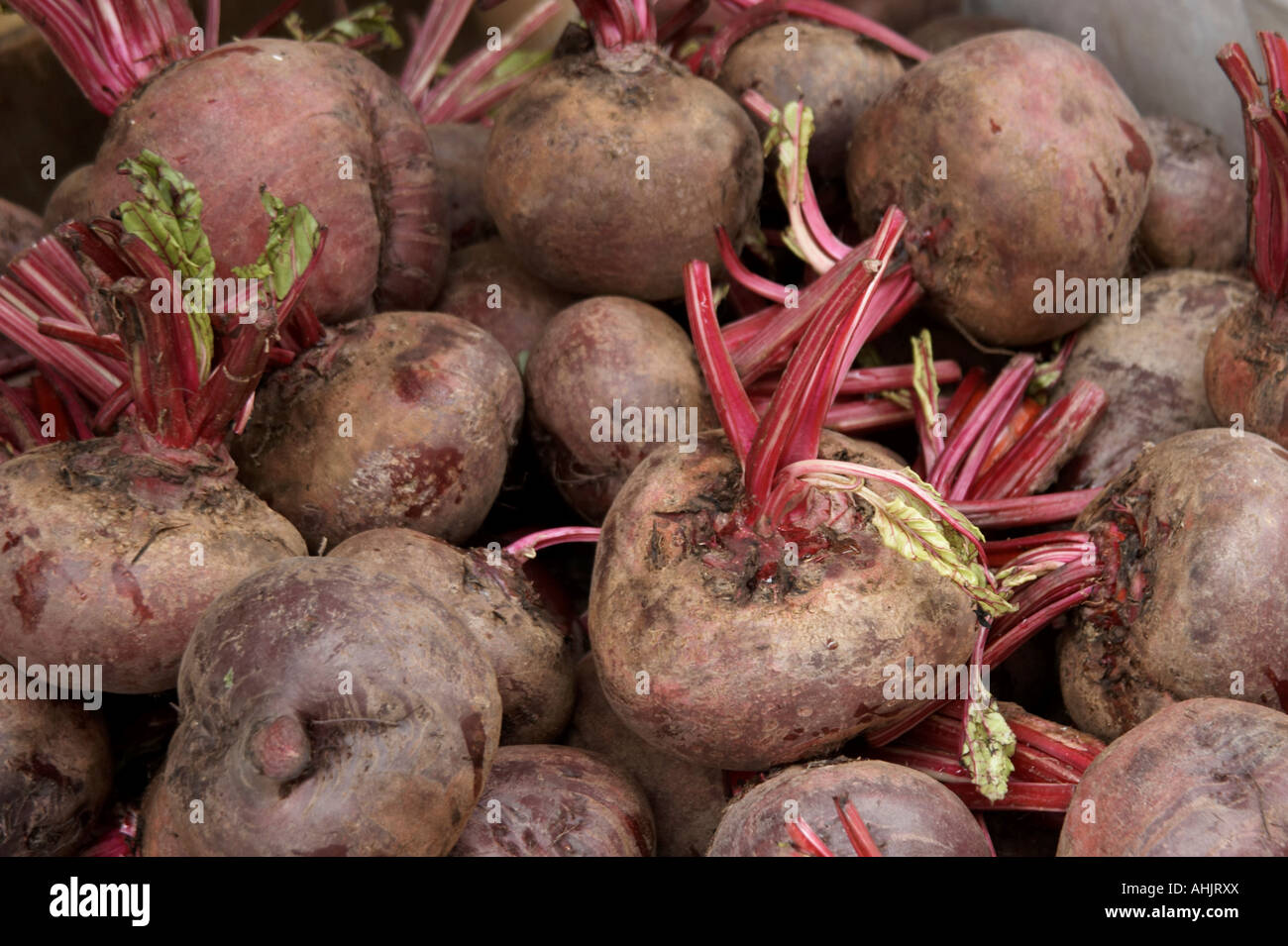 Raw beetroot on sale at stall Stock Photo - Alamy