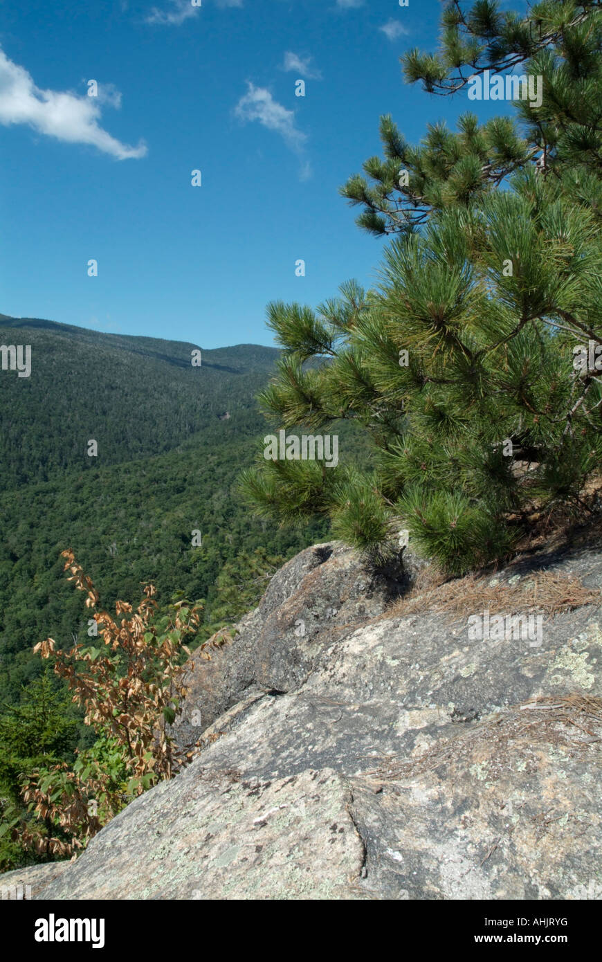 Frankenstein cliff trail hi-res stock photography and images - Alamy