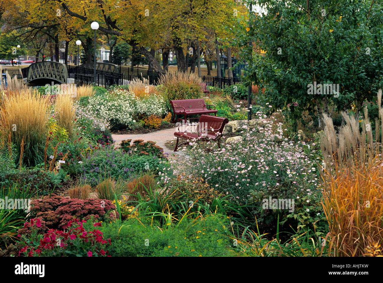 WALKING PATH, BENCHES AND FALL GARDENS IN LORING PARK, DOWNTOWN ...