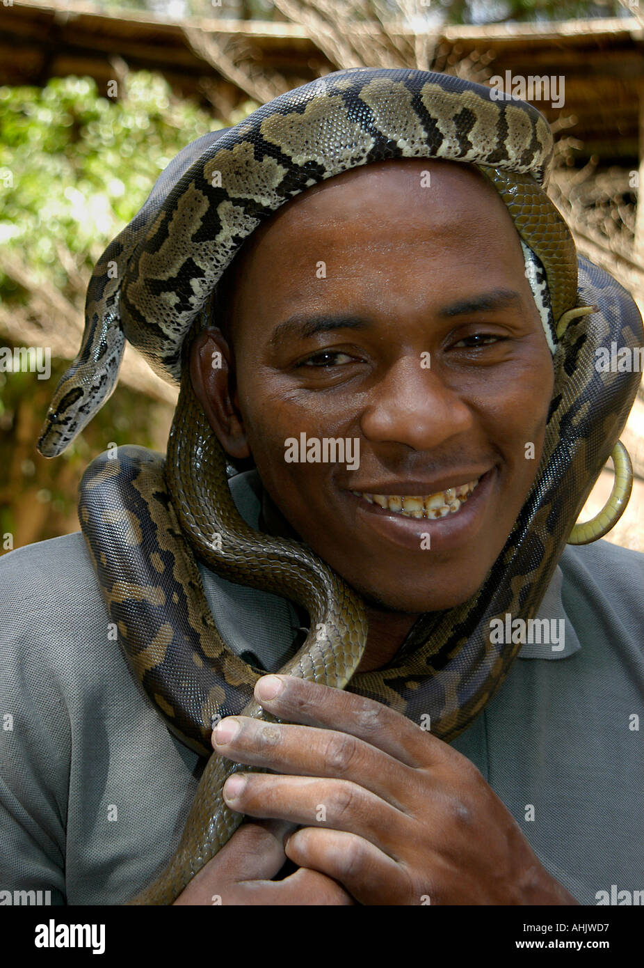 Snake snakes snake serpent kenya head africa man hi-res stock ...
