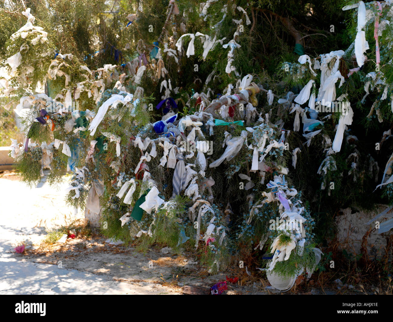 Cyprus Wishes Tied to Tree Near Mosque Hala Sultan Tekke Stock Photo ...