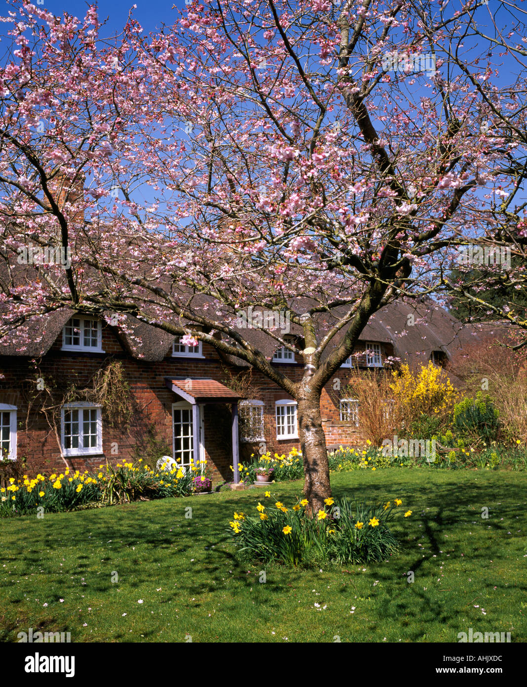 602201 hi-res stock photography and images - Alamy