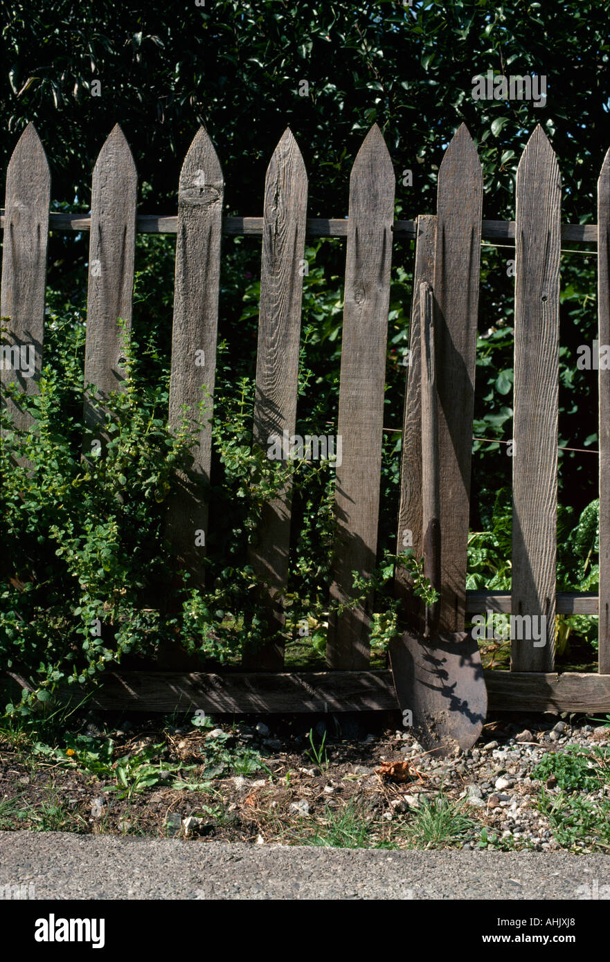 Old-fashioned shovel leans against an old picket fence Stock Photo - Alamy