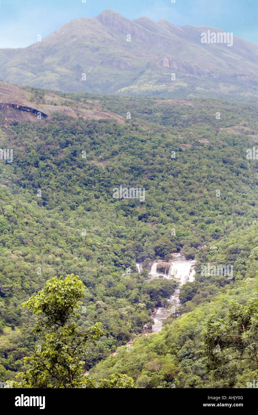 Thoovanam waterfall in South Western Ghats Montane Rain Forests the ...
