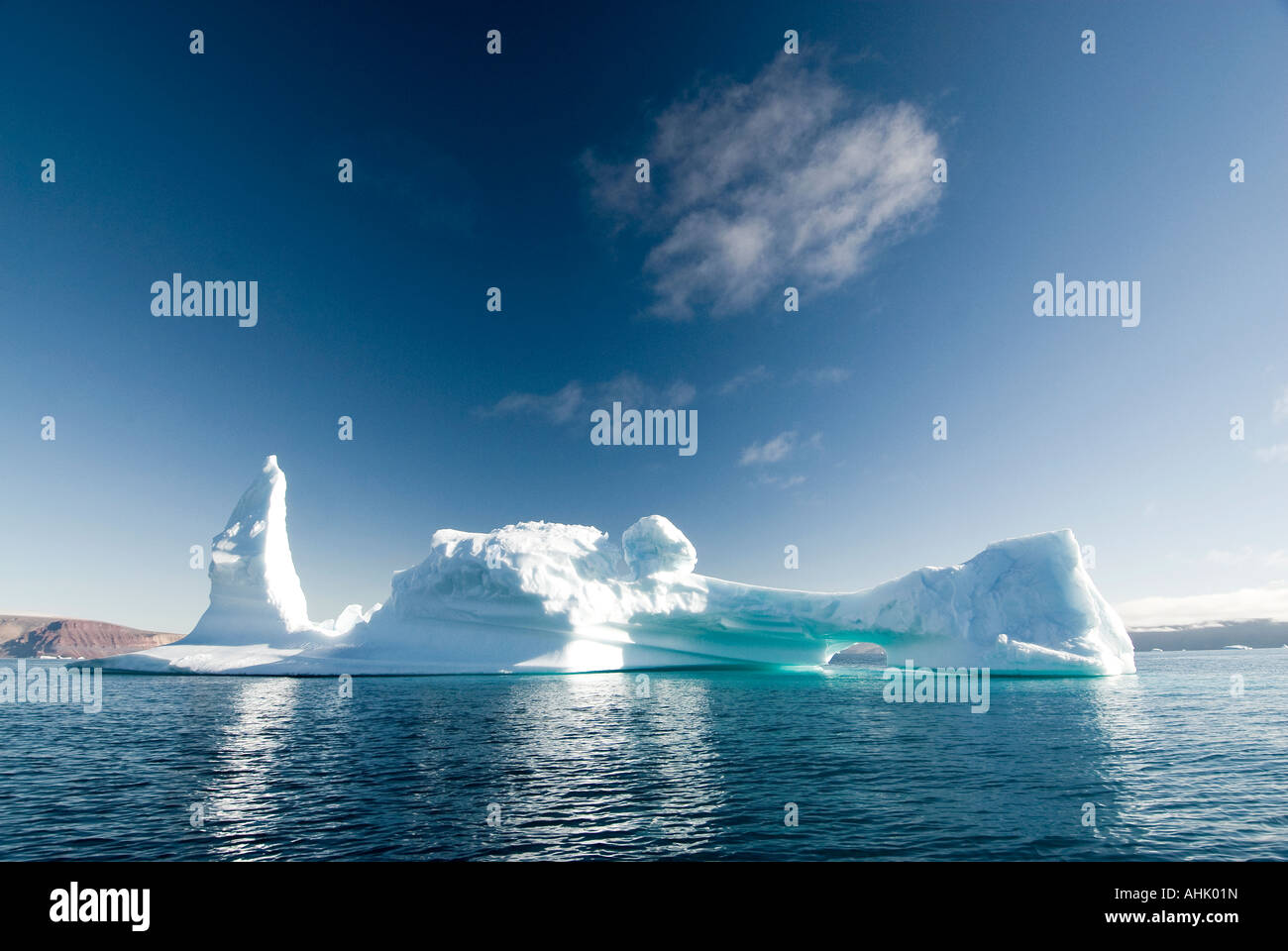 Huge icebergs are calved from the multiple glaciers in the fjord ...
