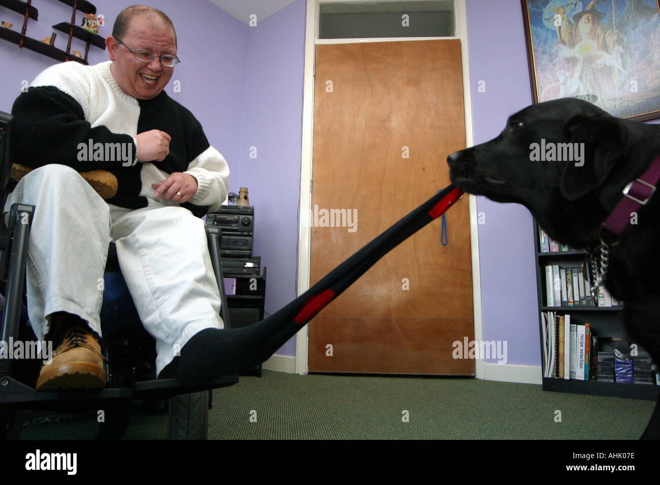 A dog trained by Canine Partners helps his owner Stock Photo - Alamy