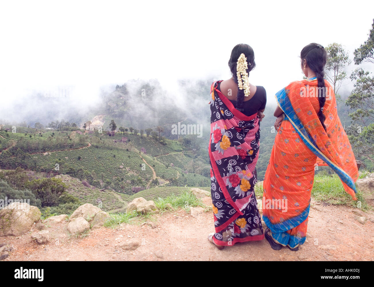 Two Indian women enjoy the panoramic view of tea plantations in the ...