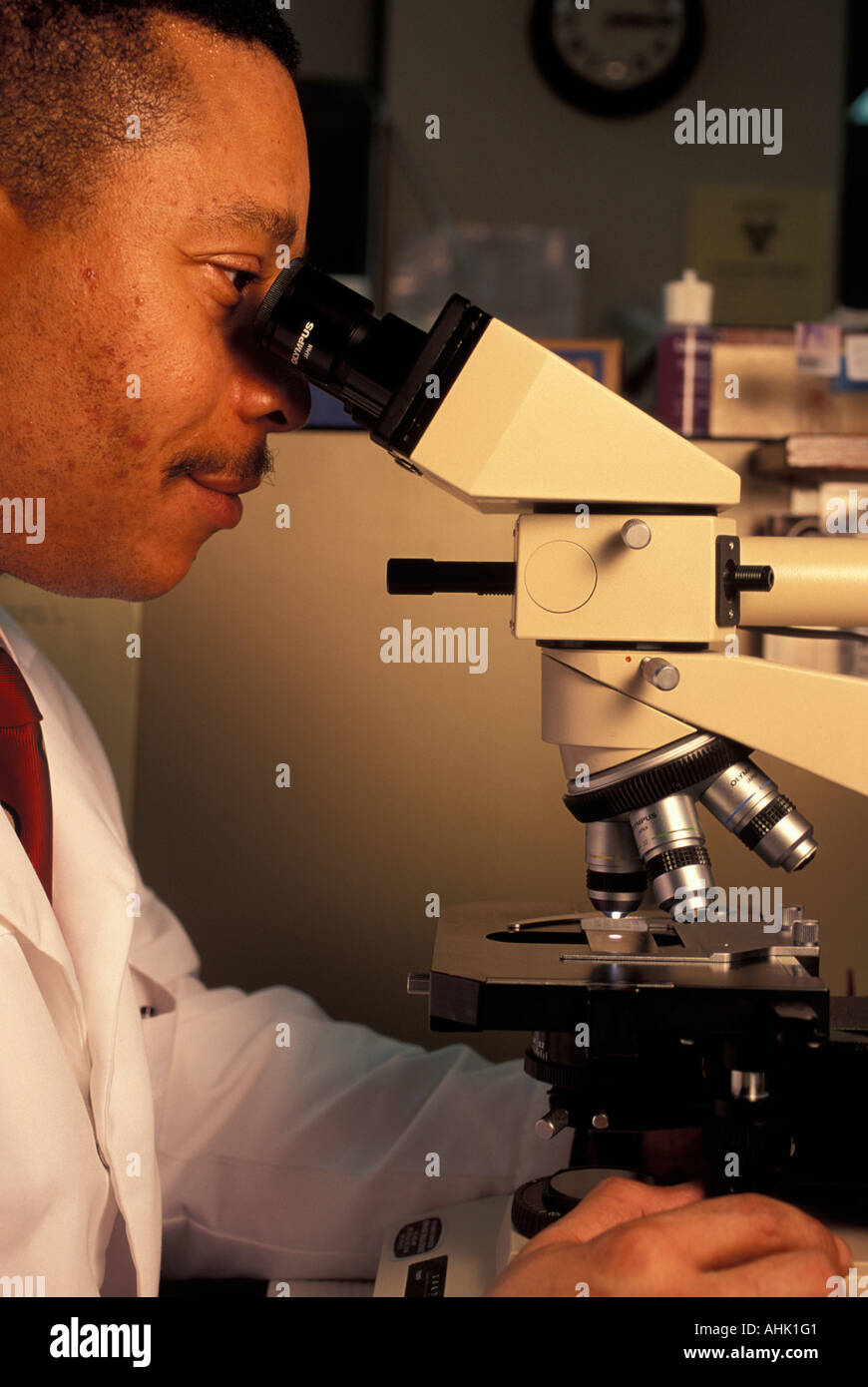 USA Maryland Bethesda MR Geneva Dickens uses pipette to inoculate lab ...