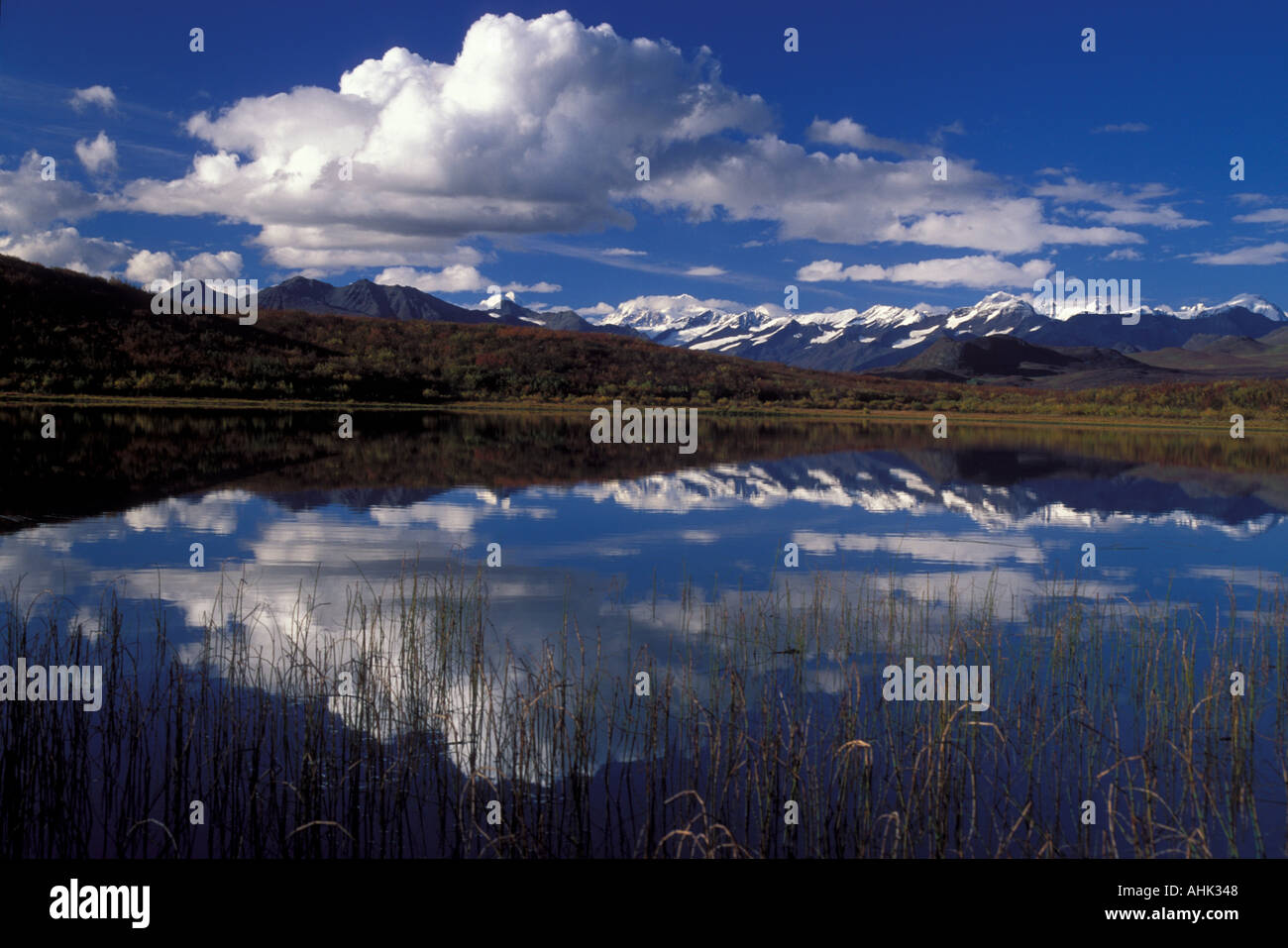 Alaska Range Mt Hayes Mt Hess reflection in lake along Denali highway ...
