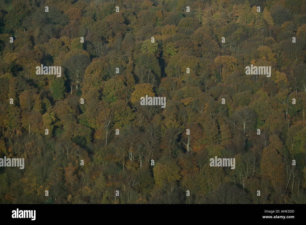 Aerial forest woods uk hi-res stock photography and images - Alamy