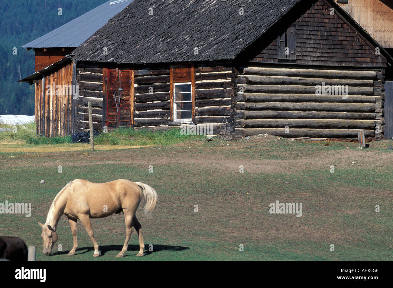 Williams ranch hi-res stock photography and images - Alamy