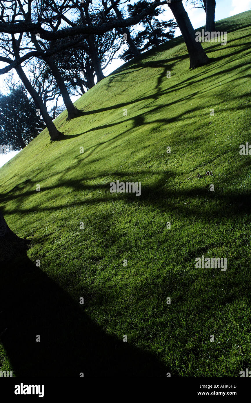 Auckland domain walk hi-res stock photography and images - Alamy
