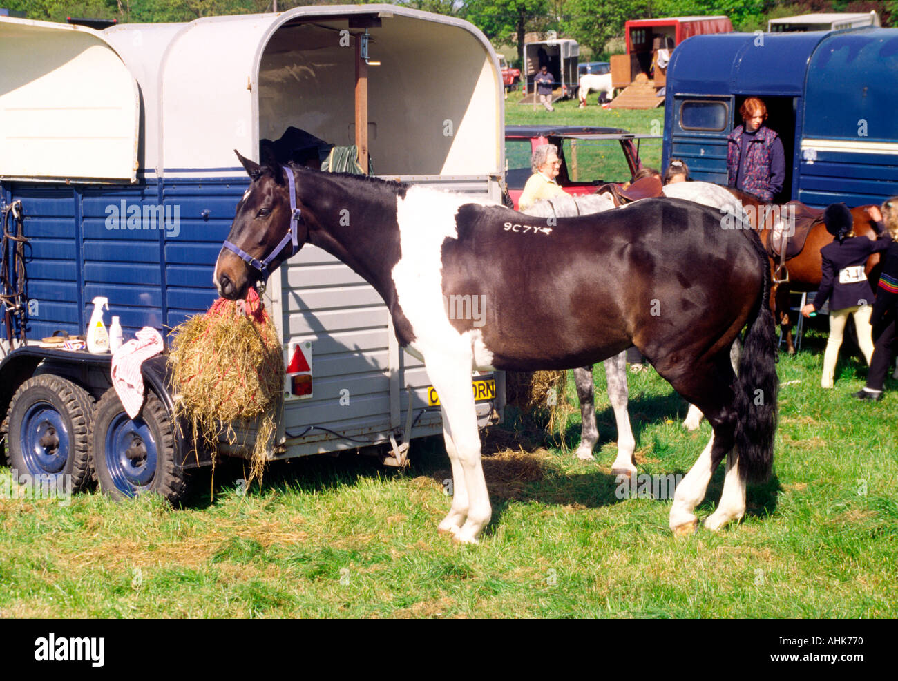 Pony ready for show hi-res stock photography and images - Alamy
