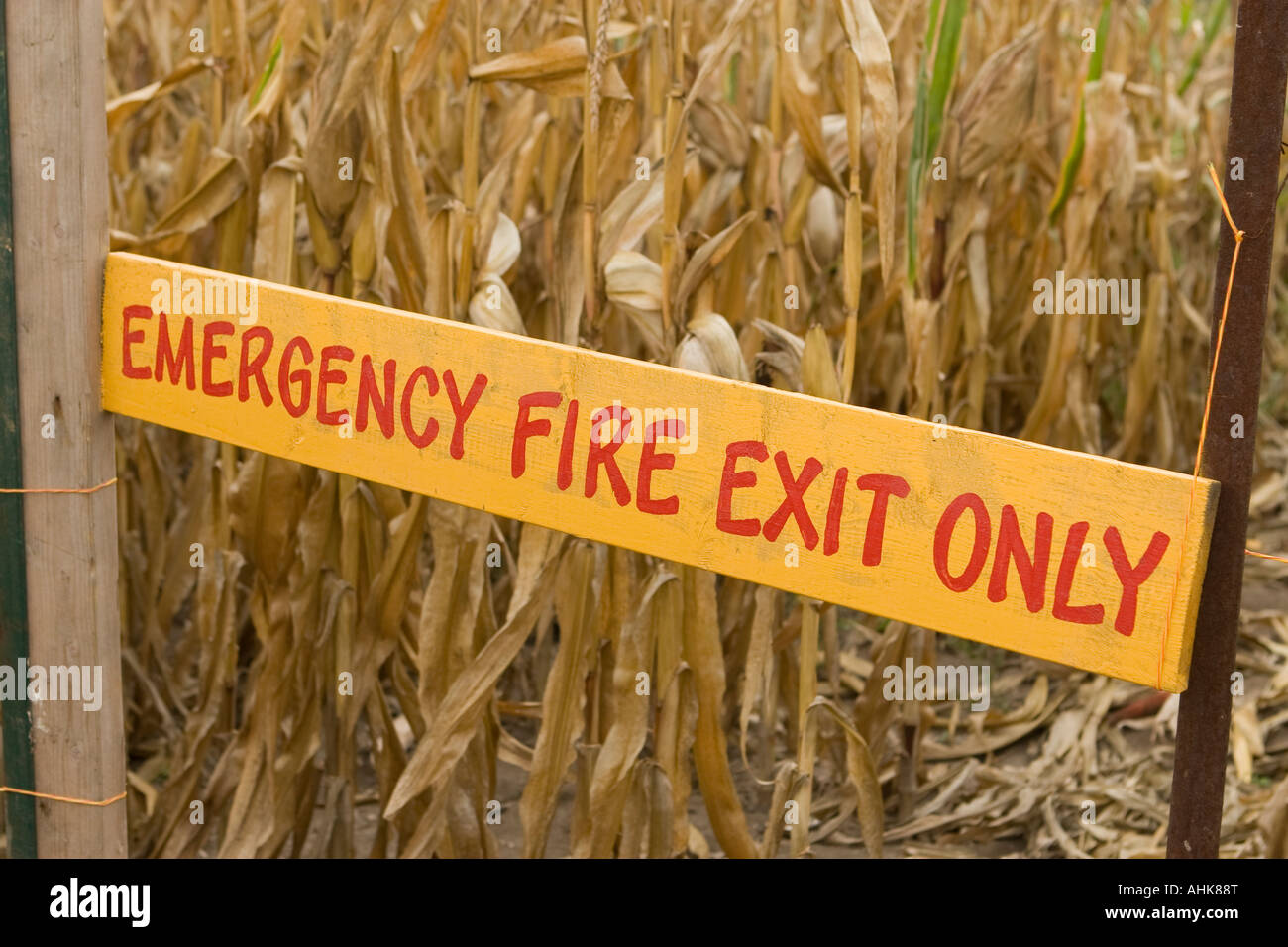 Emergency fire exit only sign on a maze corn field Stock Photo - Alamy