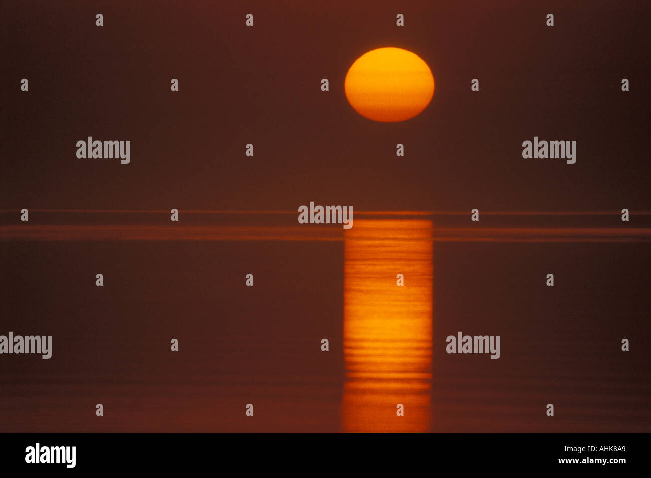 Sky reflecting on dark, almost still water, with various aquatic plants ...