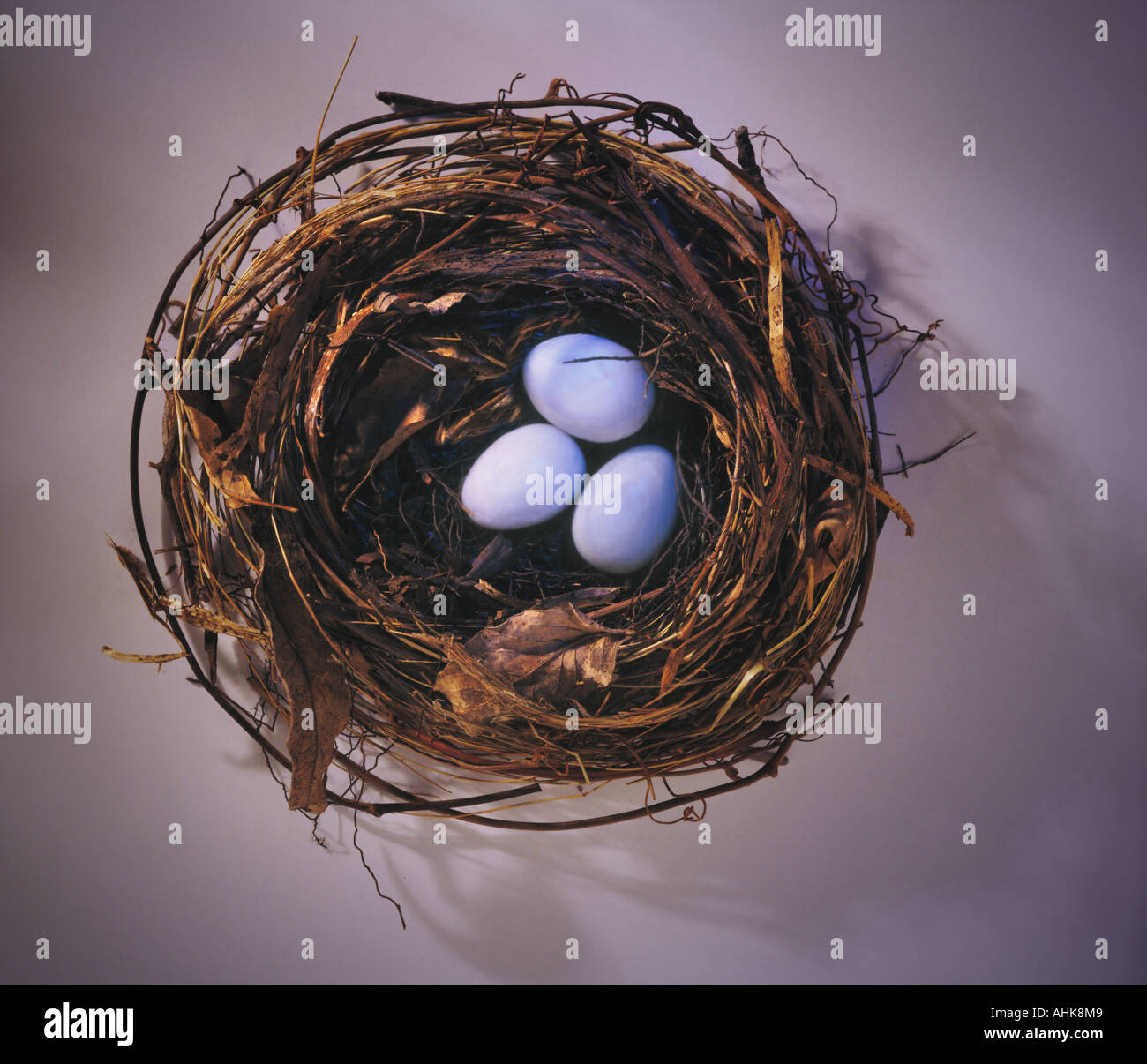 Robin's egg nest hi-res stock photography and images - Alamy
