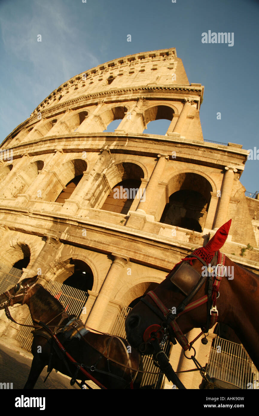 Italy, Rome, Horses outside of the Colosseum Stock Photo - Alamy
