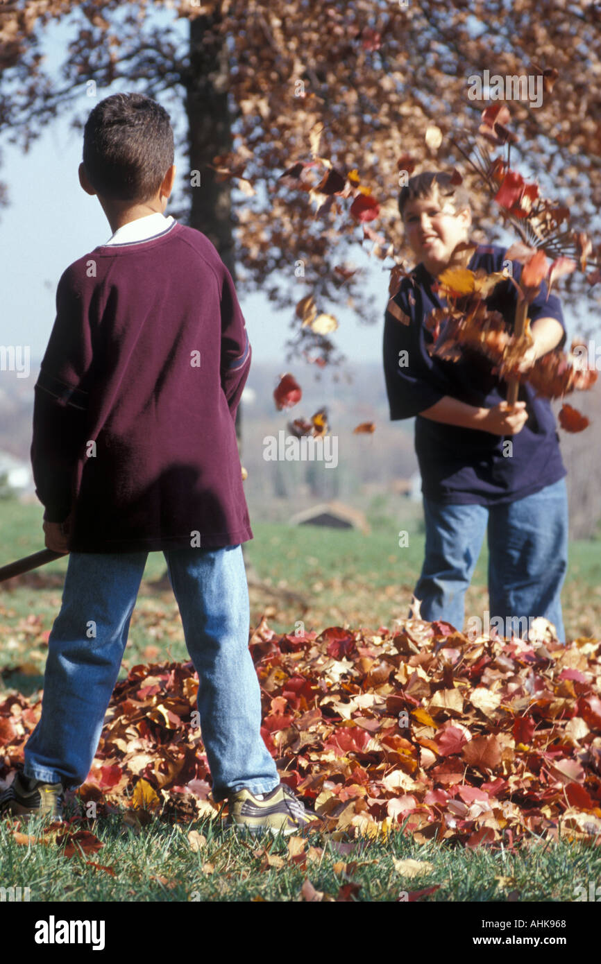 Boys playing in Fall Leaves Stock Photo - Alamy