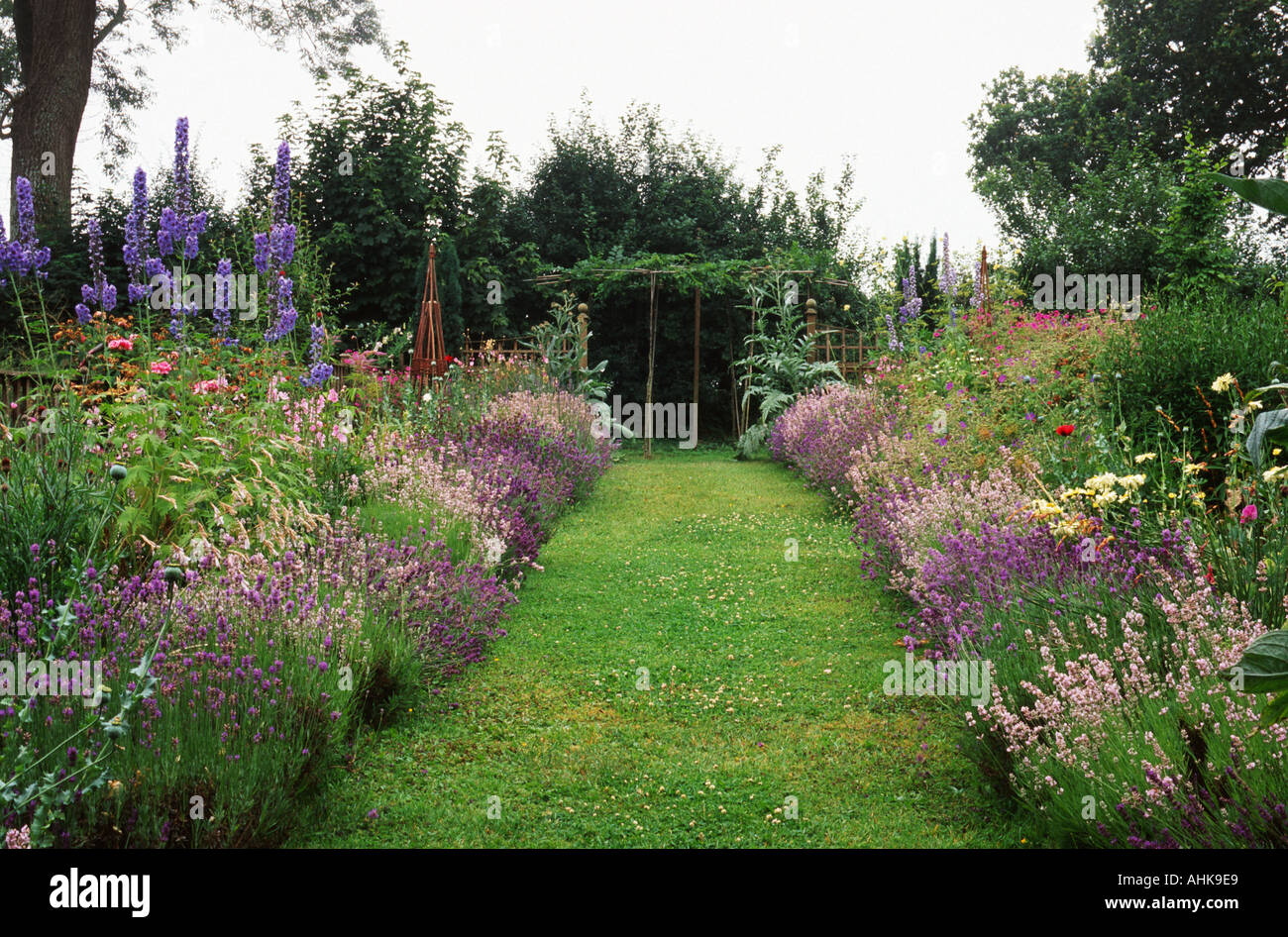 Border lavandula munstead dwarf lavandula hi-res stock photography and ...