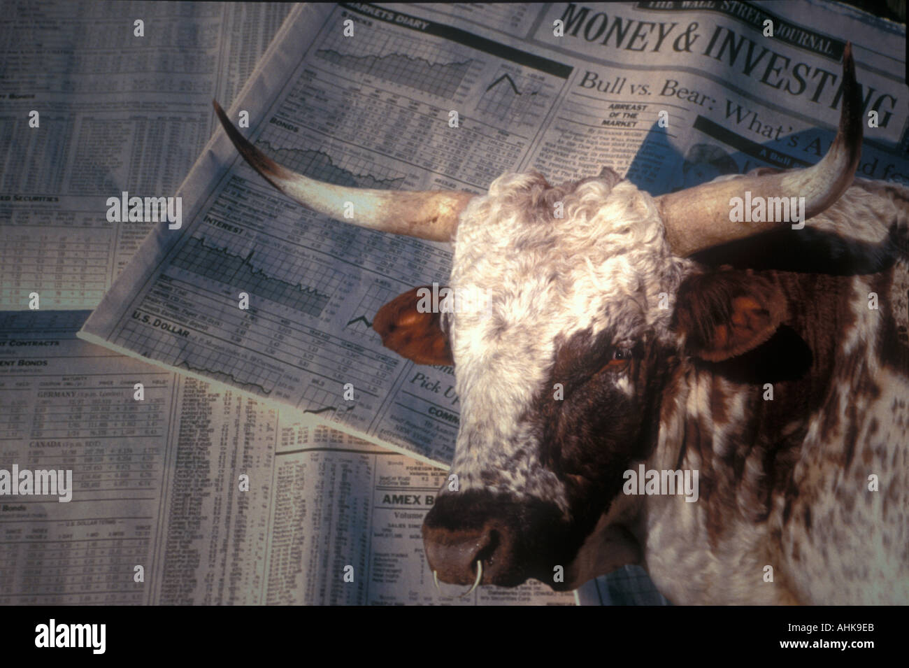 Bull Stock Market or Bull Market Stock Photo - Alamy