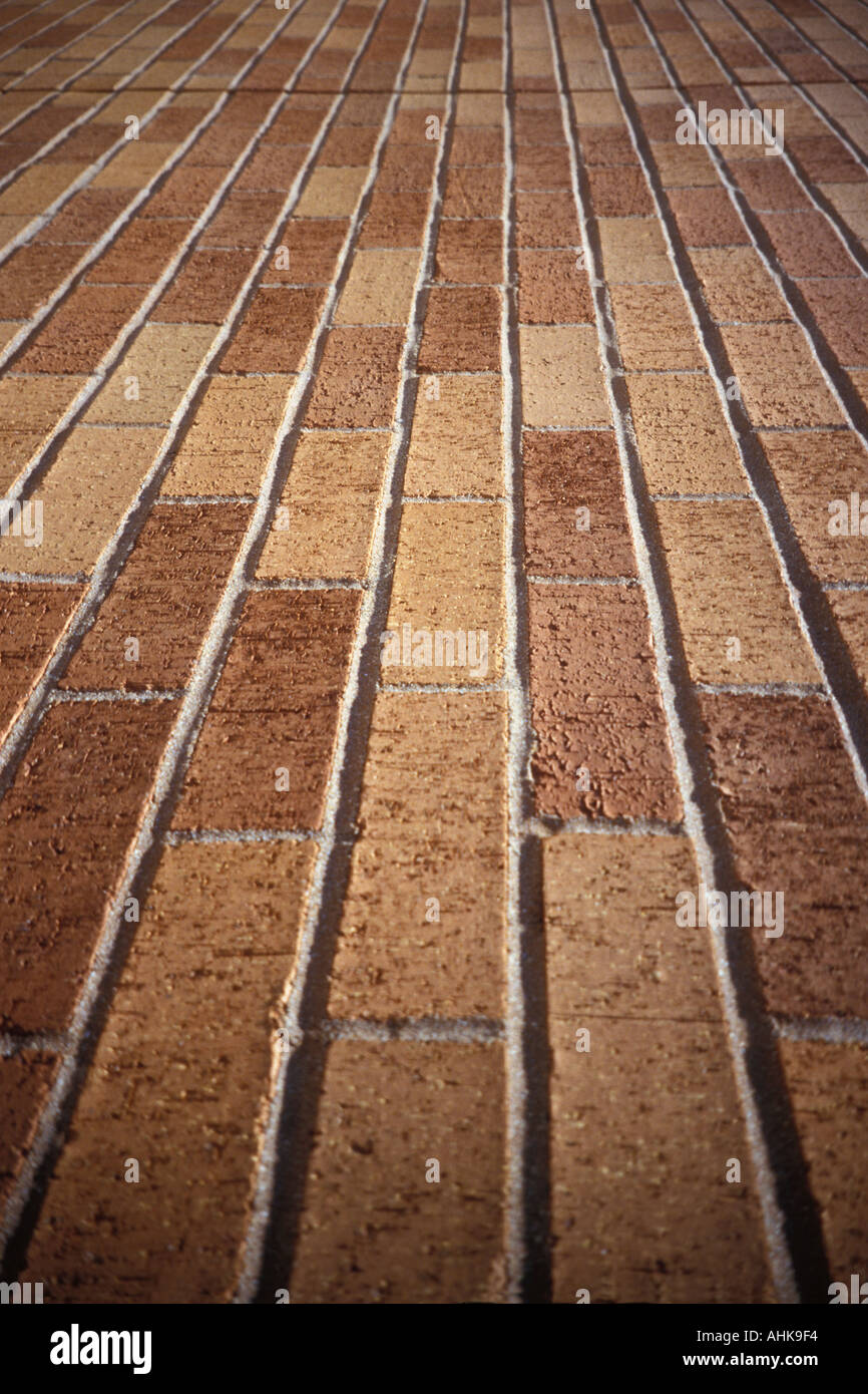 Yellow Brick Road Stock