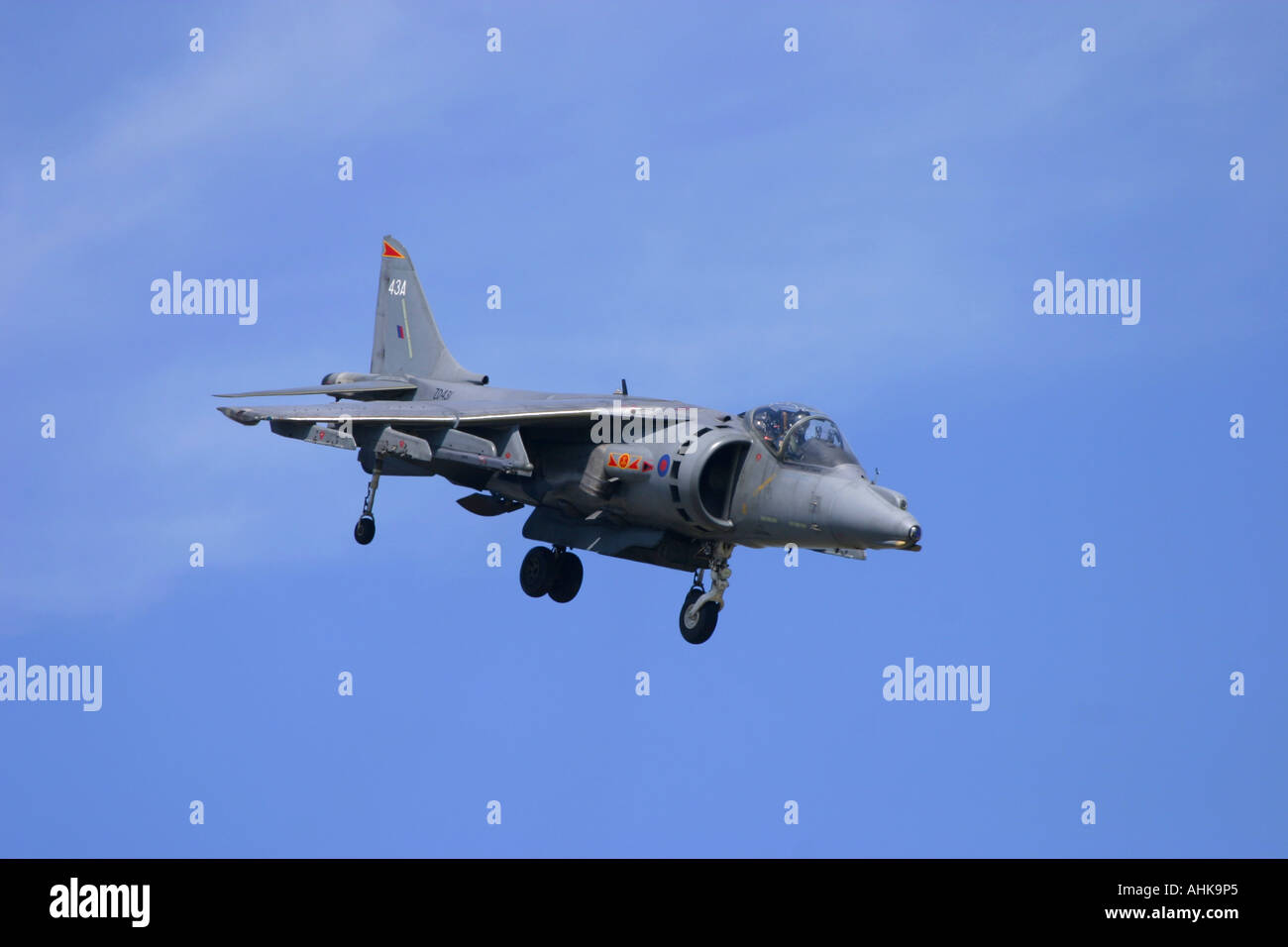 BAe Harrier GR7 Stock Photo - Alamy