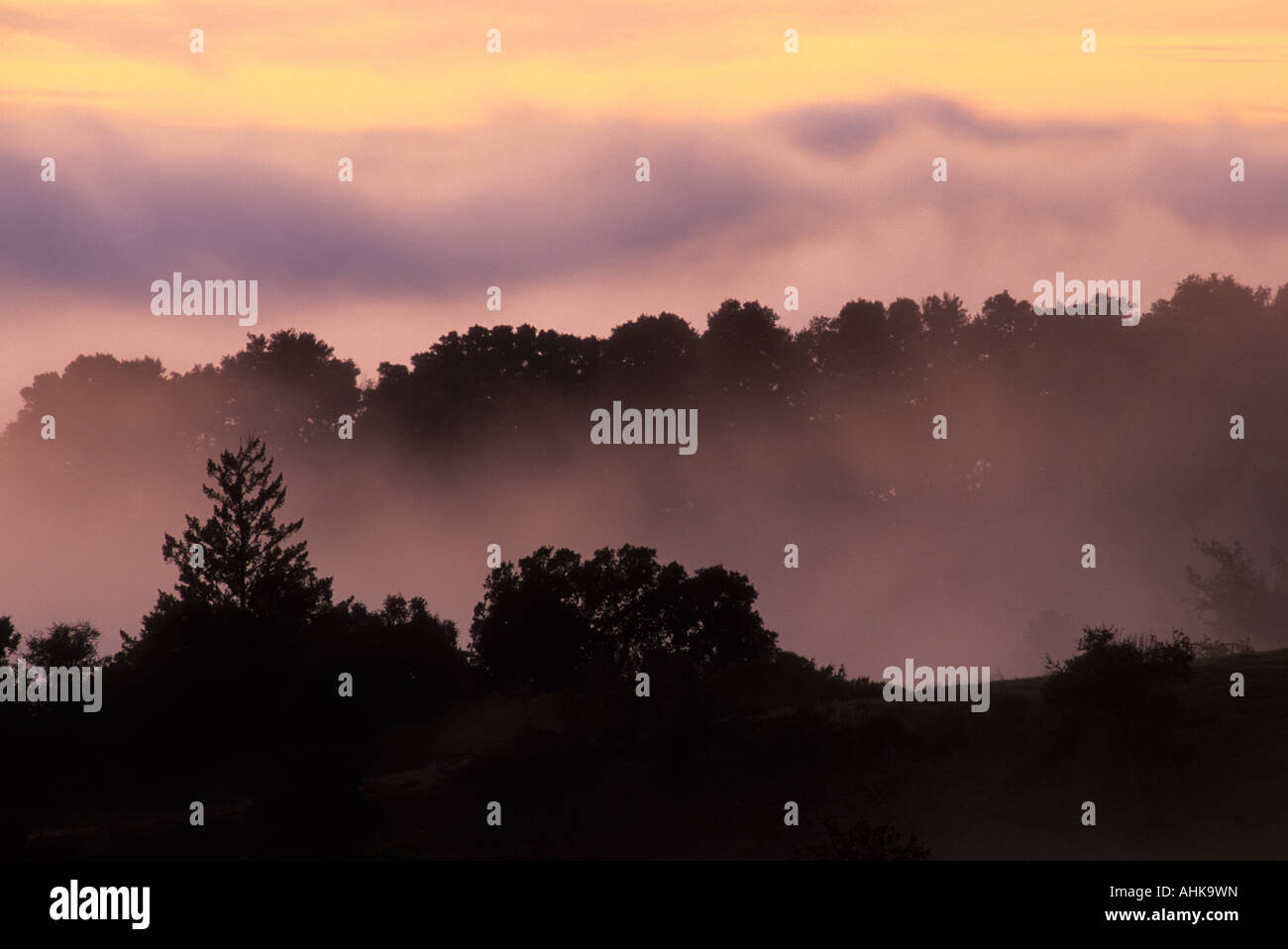 Foggy sunset on the pacific coast at Russian Ridge Open Space Preserve ...