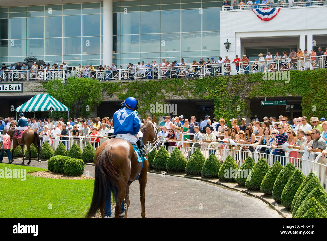 What Is The Paddock In Horse Racing at Susan Callahan blog