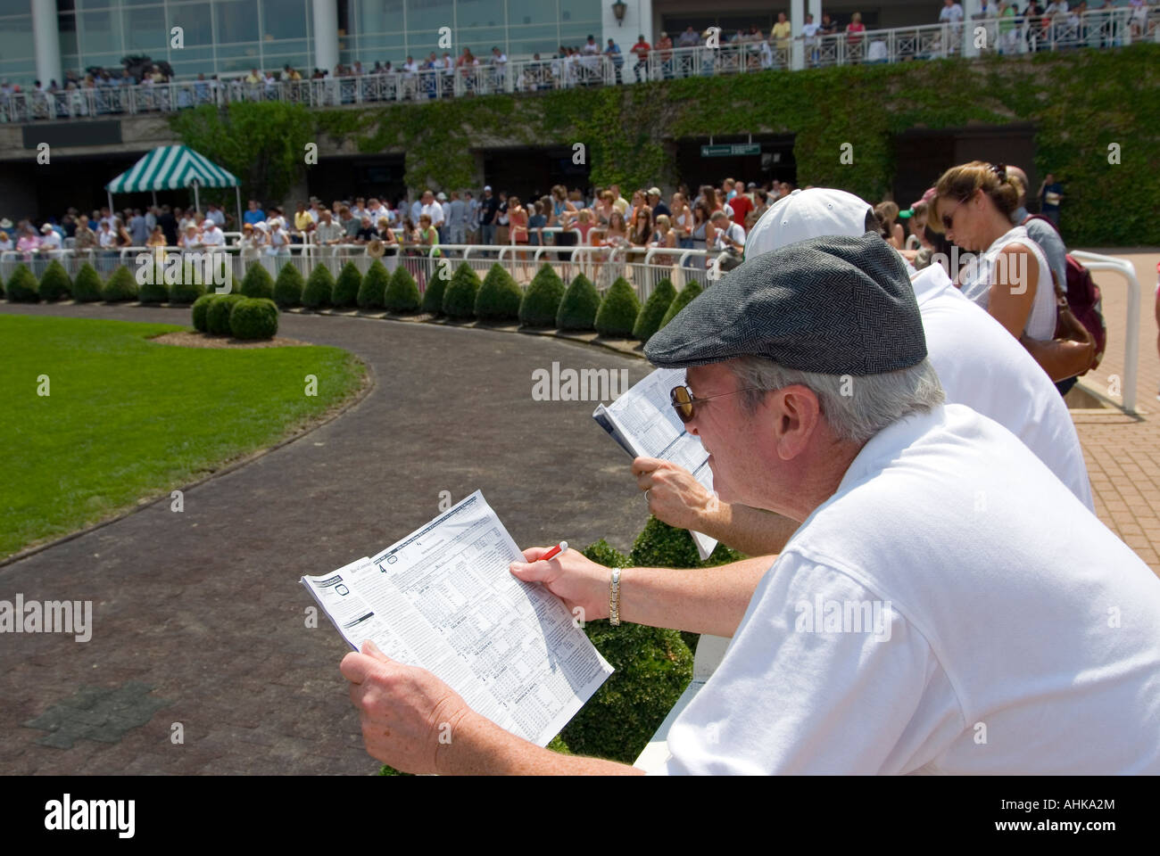 Gambler reading horse racing program & calculating Stock Photo - Alamy