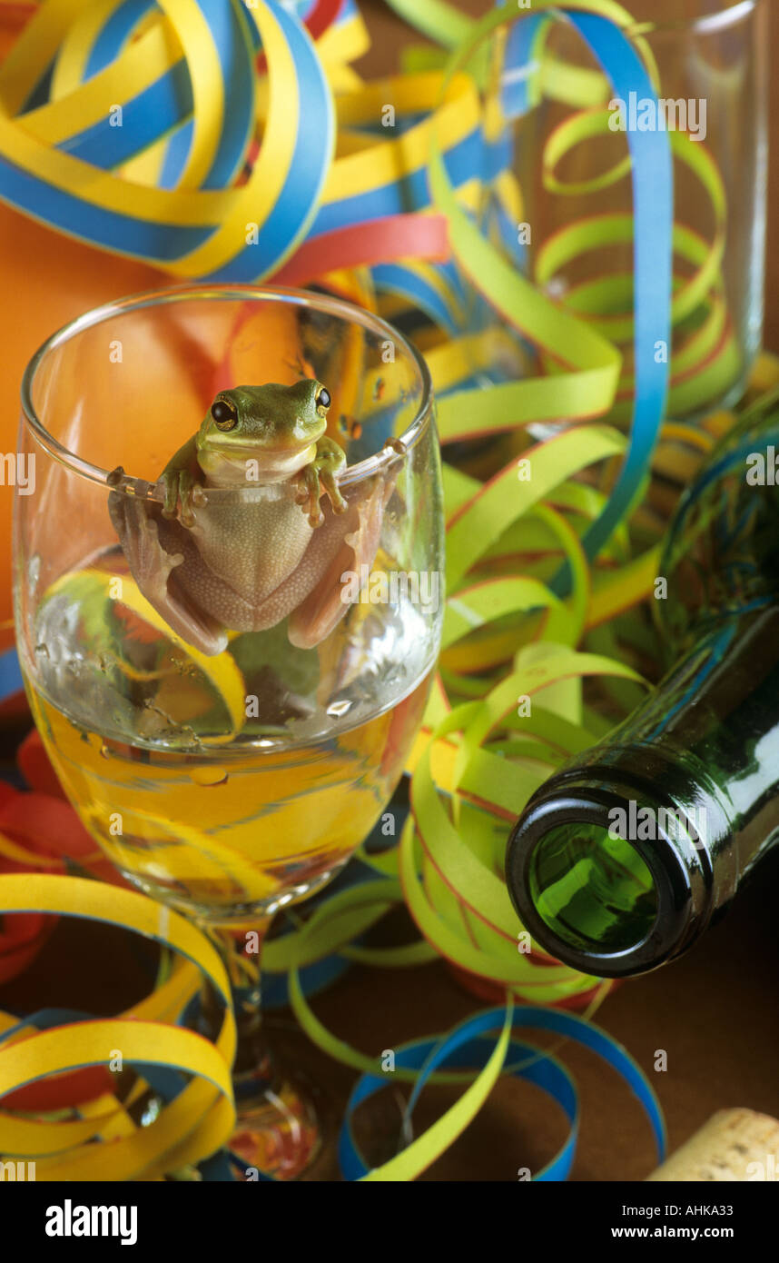 Drunk frog hi-res stock photography and images - Alamy