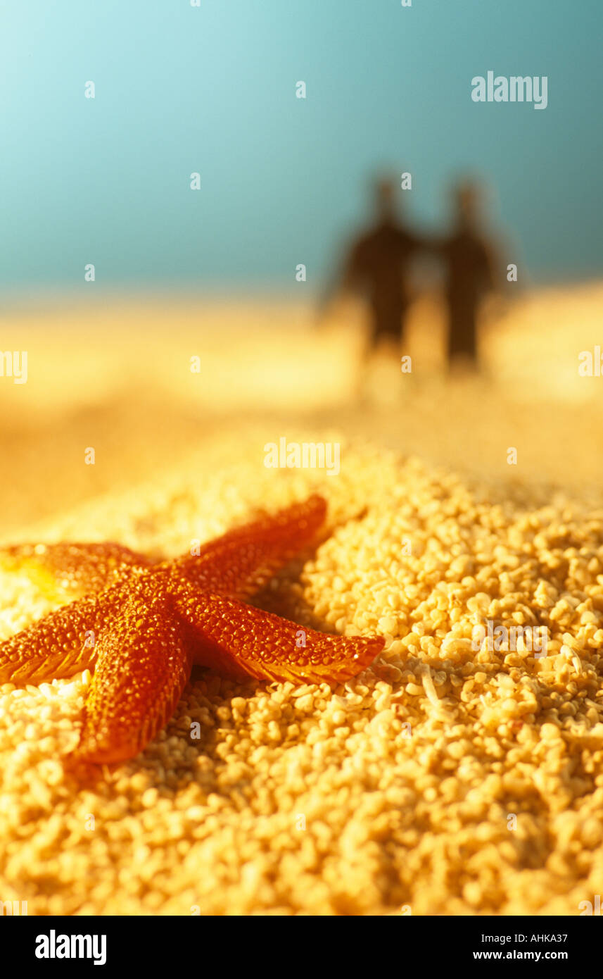 Starfish On Beach High Resolution Stock Photography and Images - Alamy