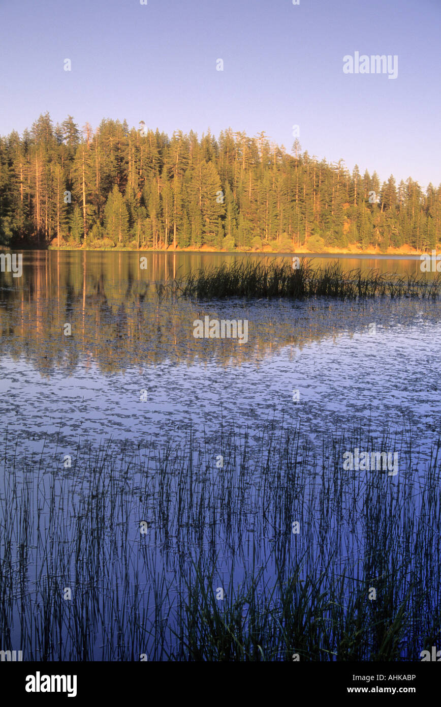 Letts Lake in the Mendocino National Forest, California, USA Stock ...