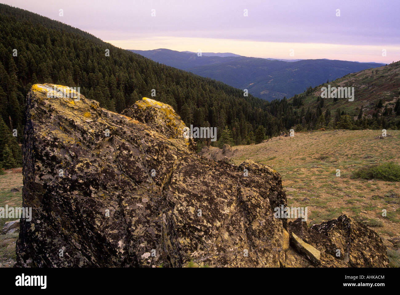 Plaskett Ridge in the Mendocino National Forest, California, USA Stock ...