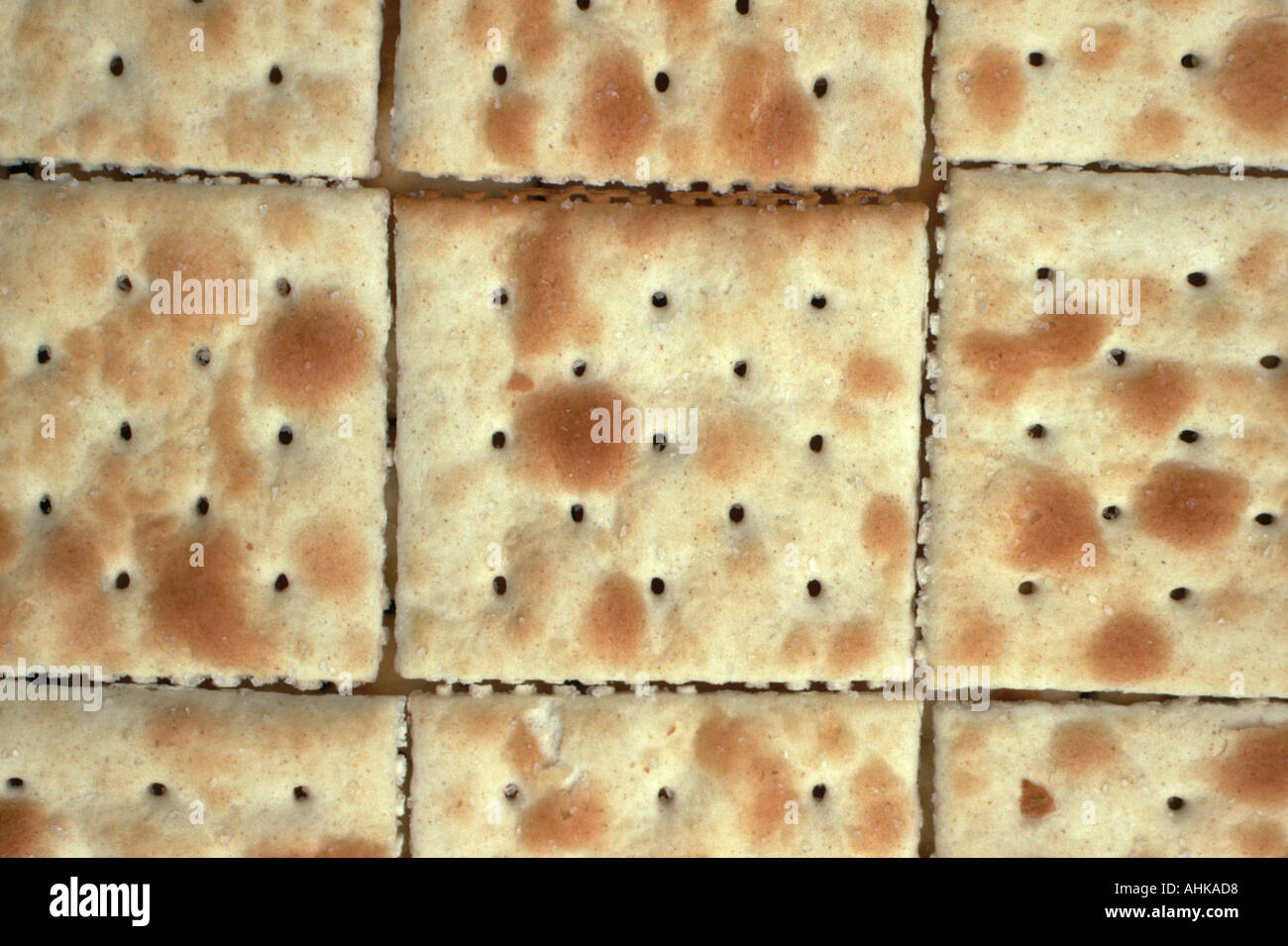 Saltine hi-res stock photography and images - Alamy