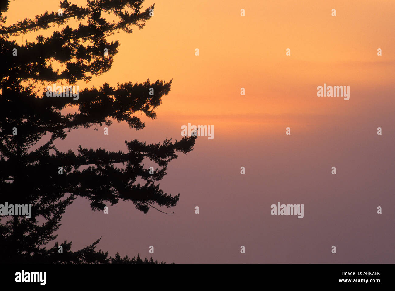 Russian ridge open space preserve hi-res stock photography and images ...