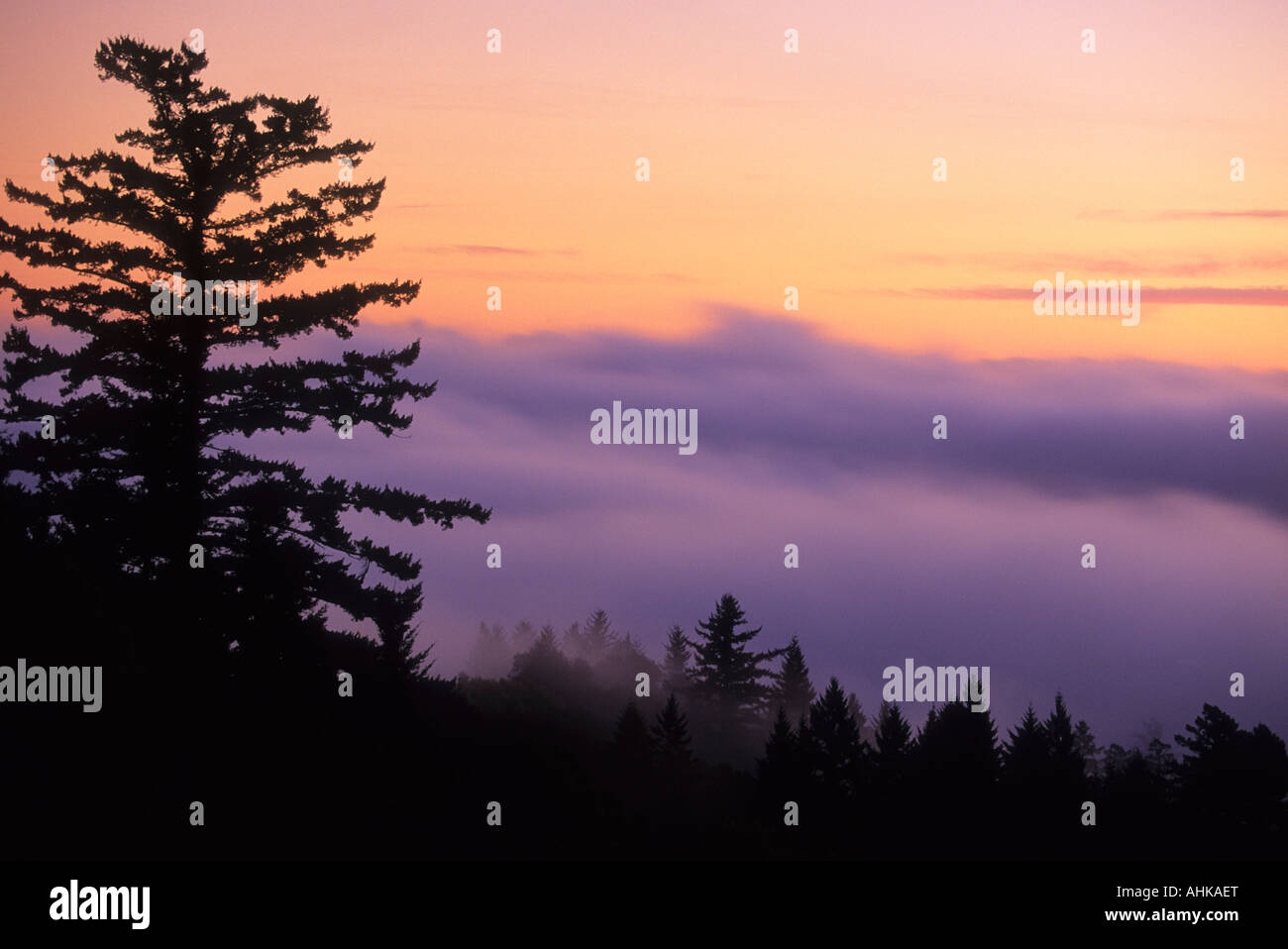 Russian ridge preserve hi-res stock photography and images - Alamy