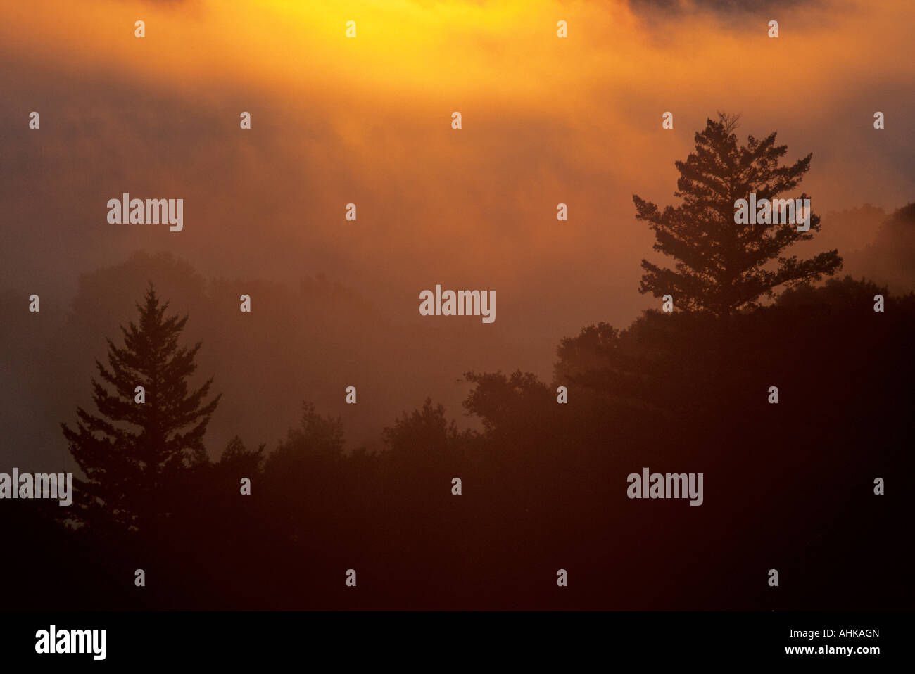 Russian ridge open space preserve hi-res stock photography and images ...