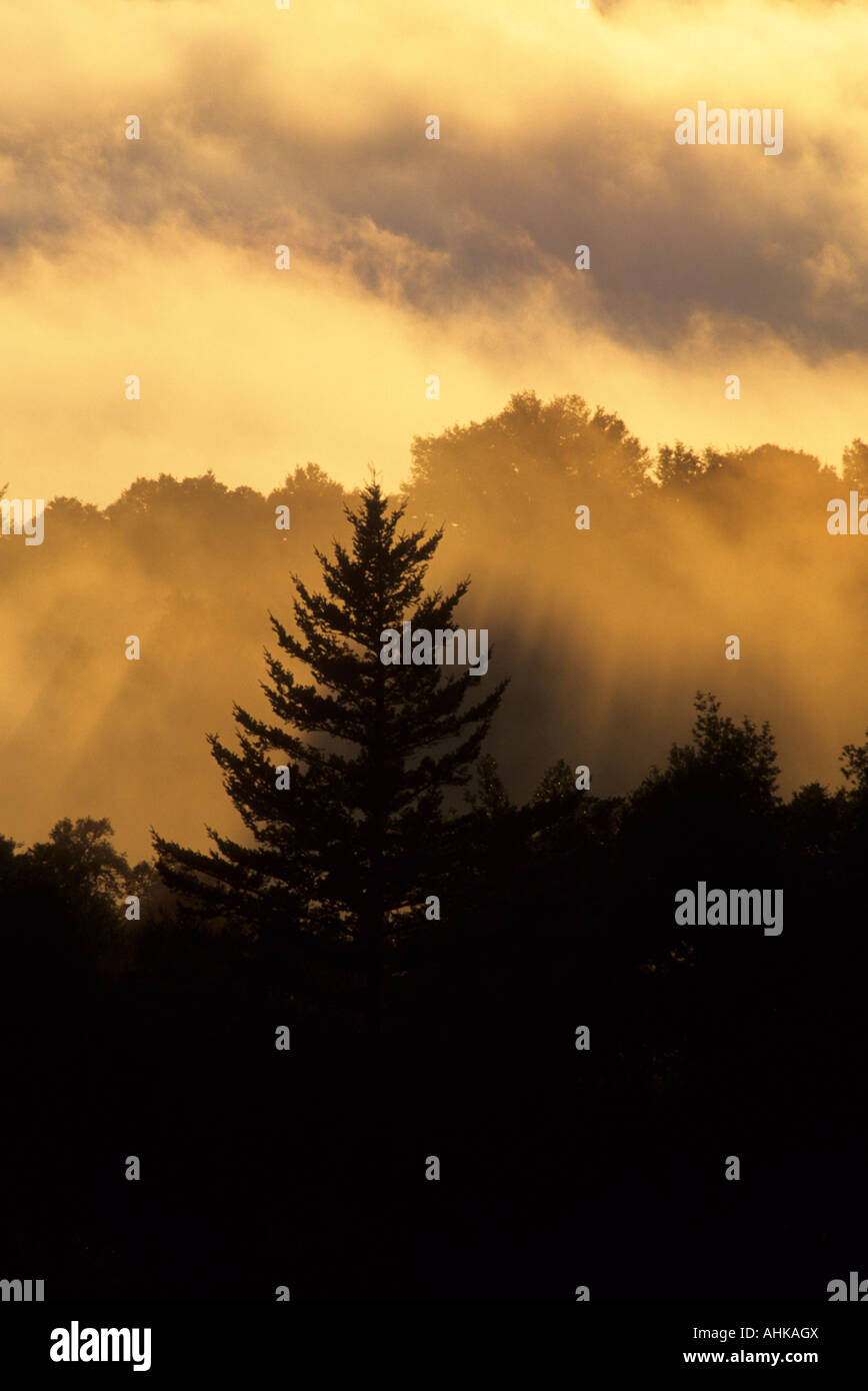 Russian ridge open space preserve hi-res stock photography and images ...