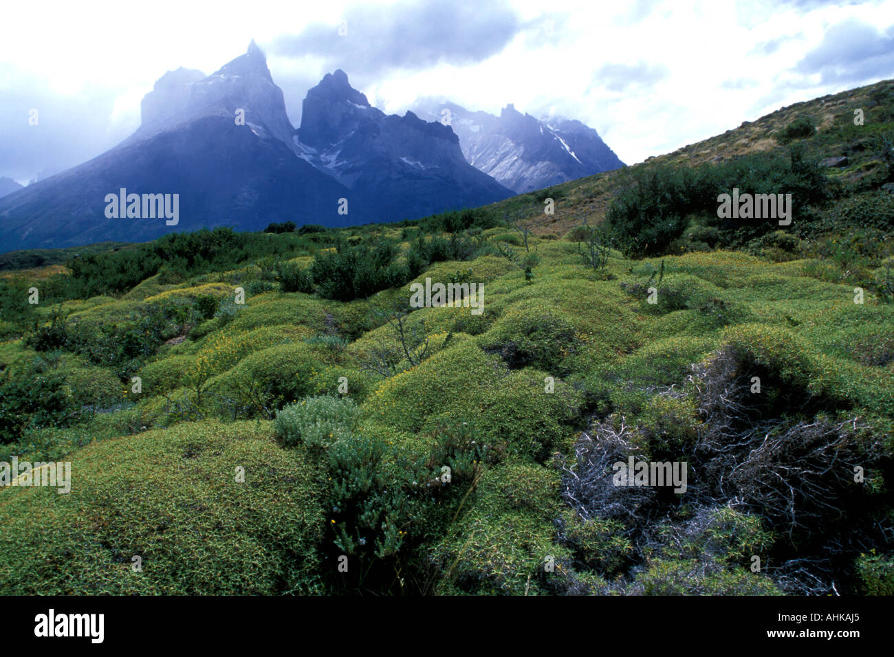 Chile Torres del Paine National Park Los Cuernos rise above green ...