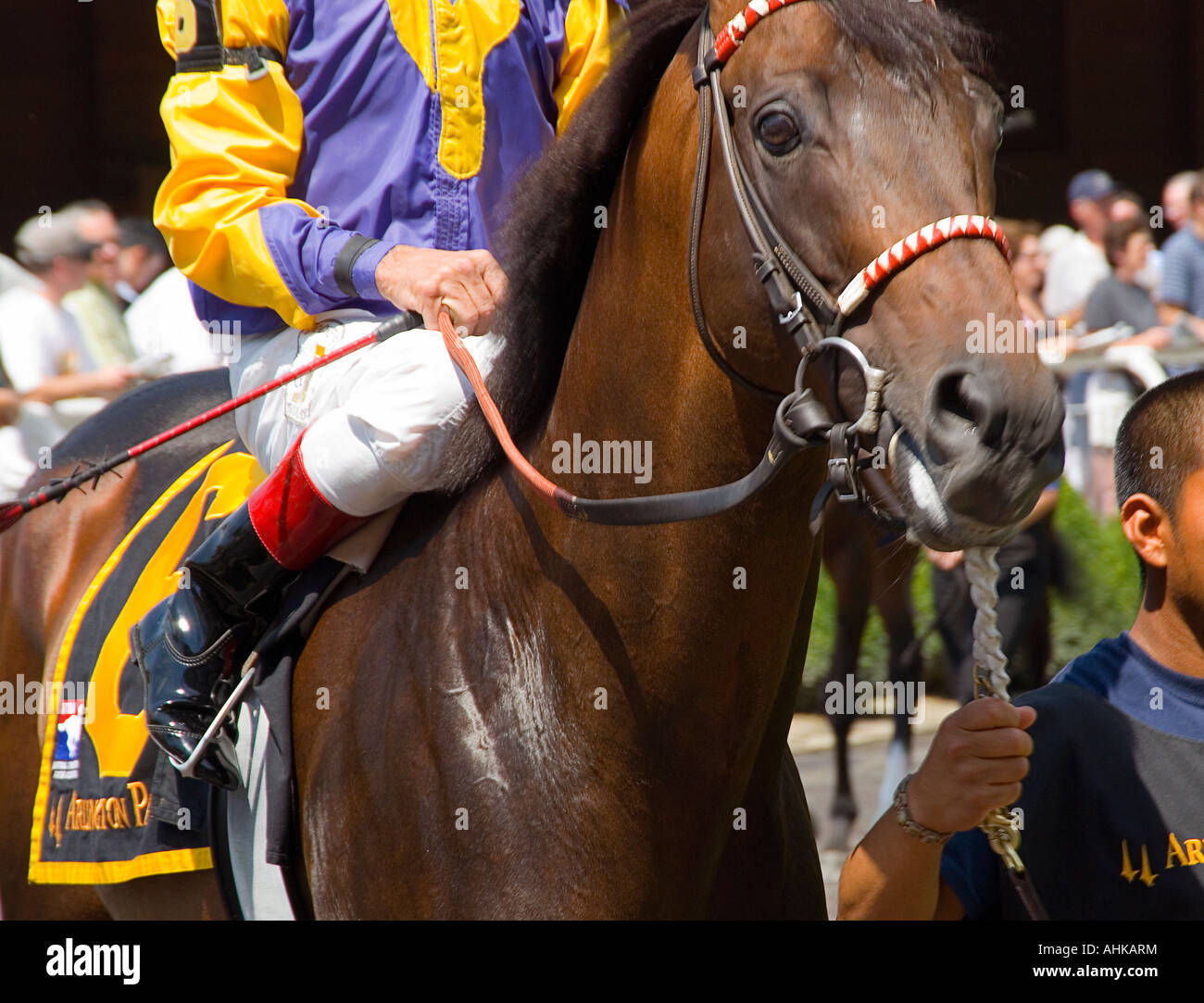 Mounted Jockey & Thoroughbred Close-up Stock Photo - Alamy