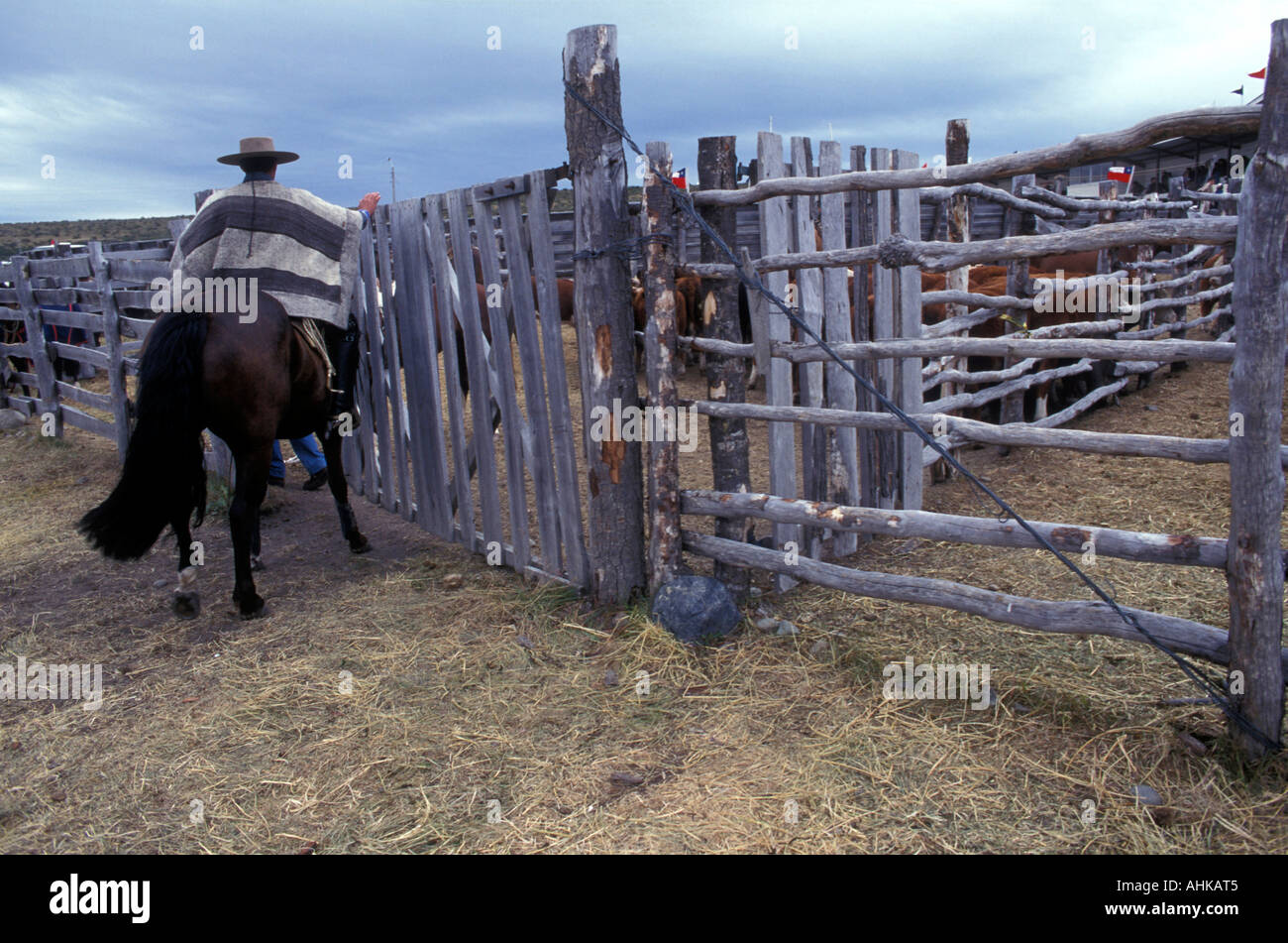 Patagonia chile huaso hi-res stock photography and images - Alamy