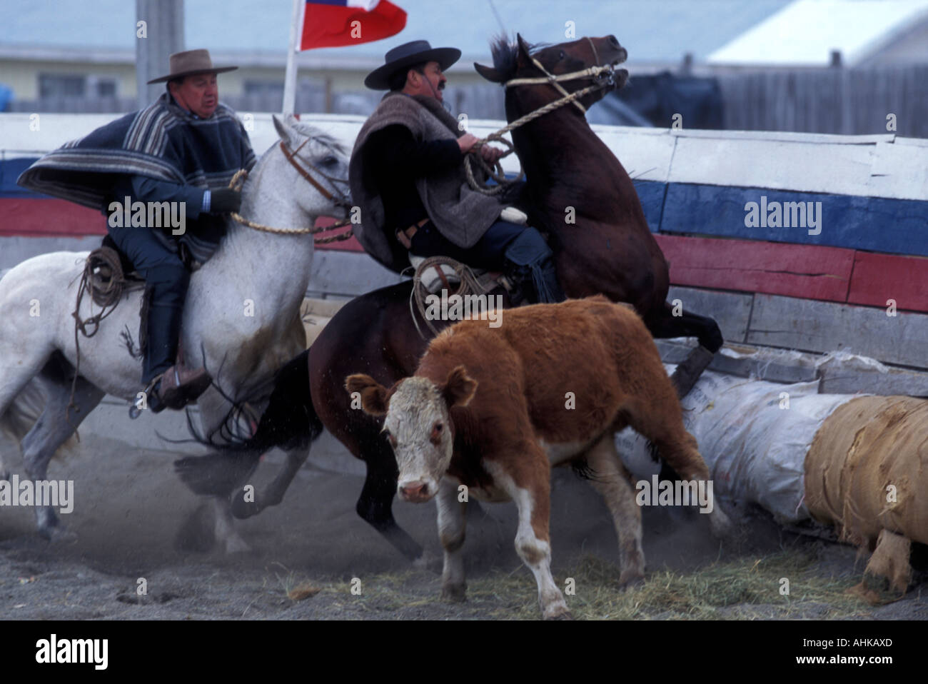 Chile huasos hi-res stock photography and images - Alamy