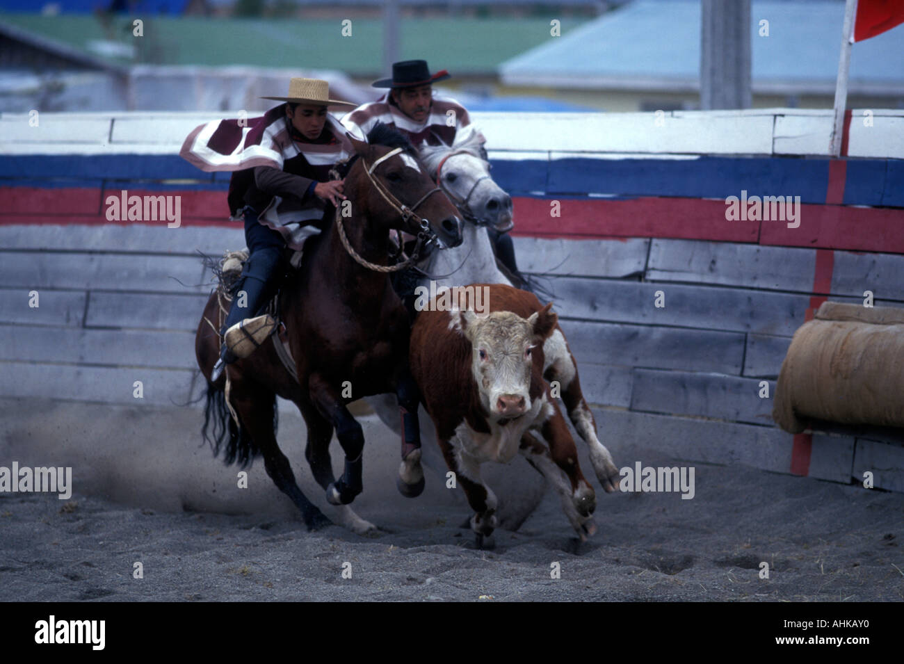 Rodeo in chile hi-res stock photography and images - Alamy