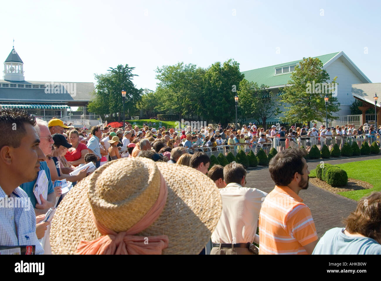Crowd horse hi-res stock photography and images - Alamy