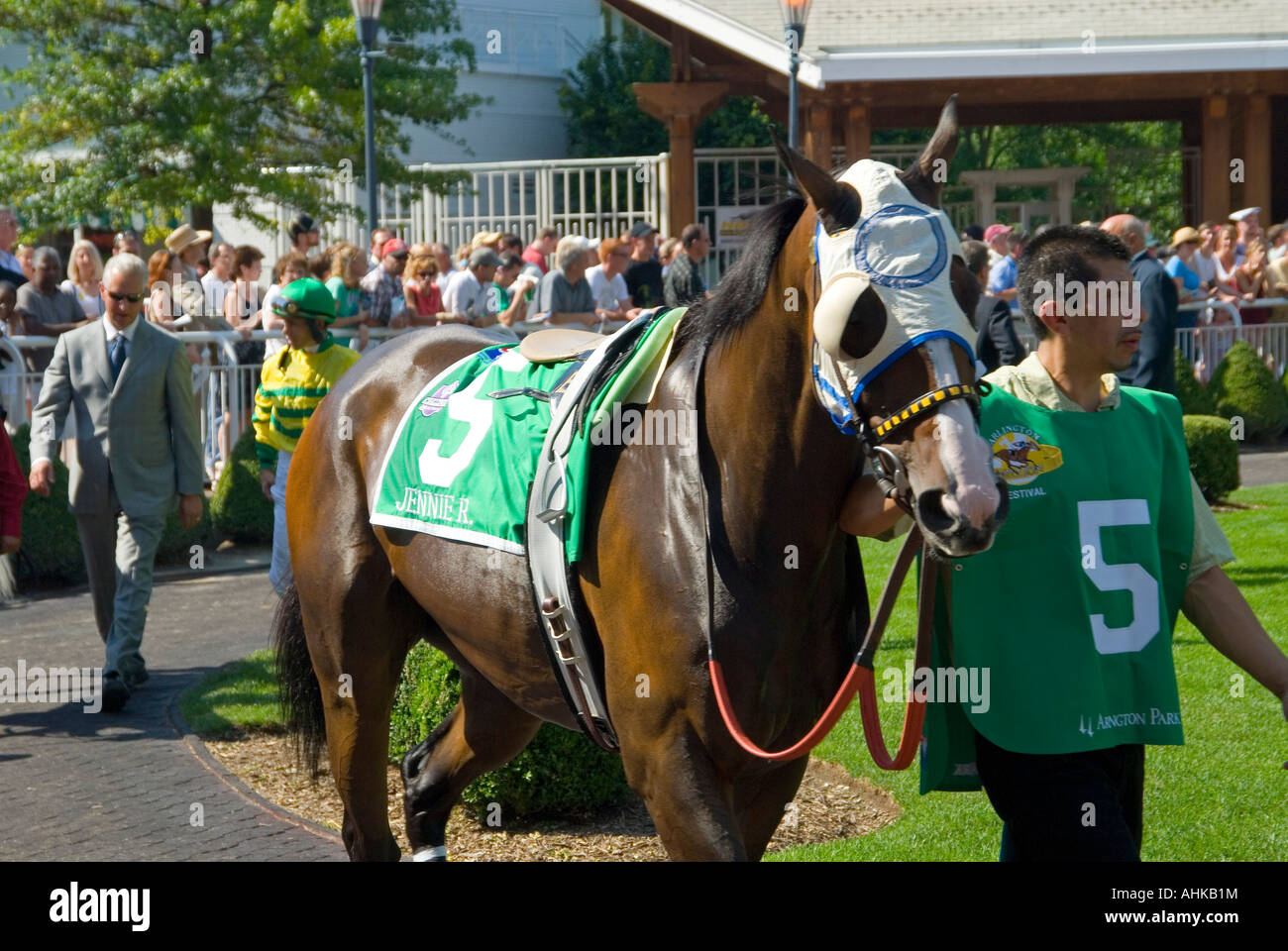 What Is The Paddock In Horse Racing at Susan Callahan blog