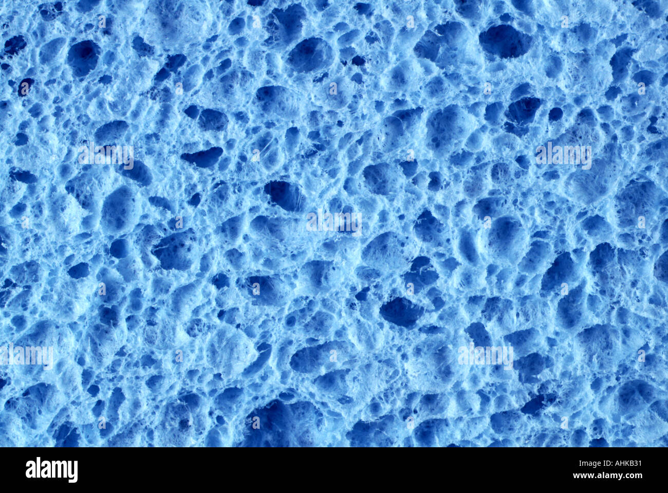 Sponge close up hi-res stock photography and images - Alamy