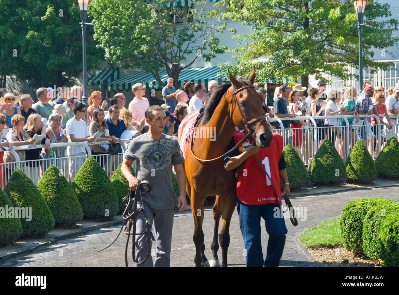 Horse Race Paddock Stock Photo - Alamy