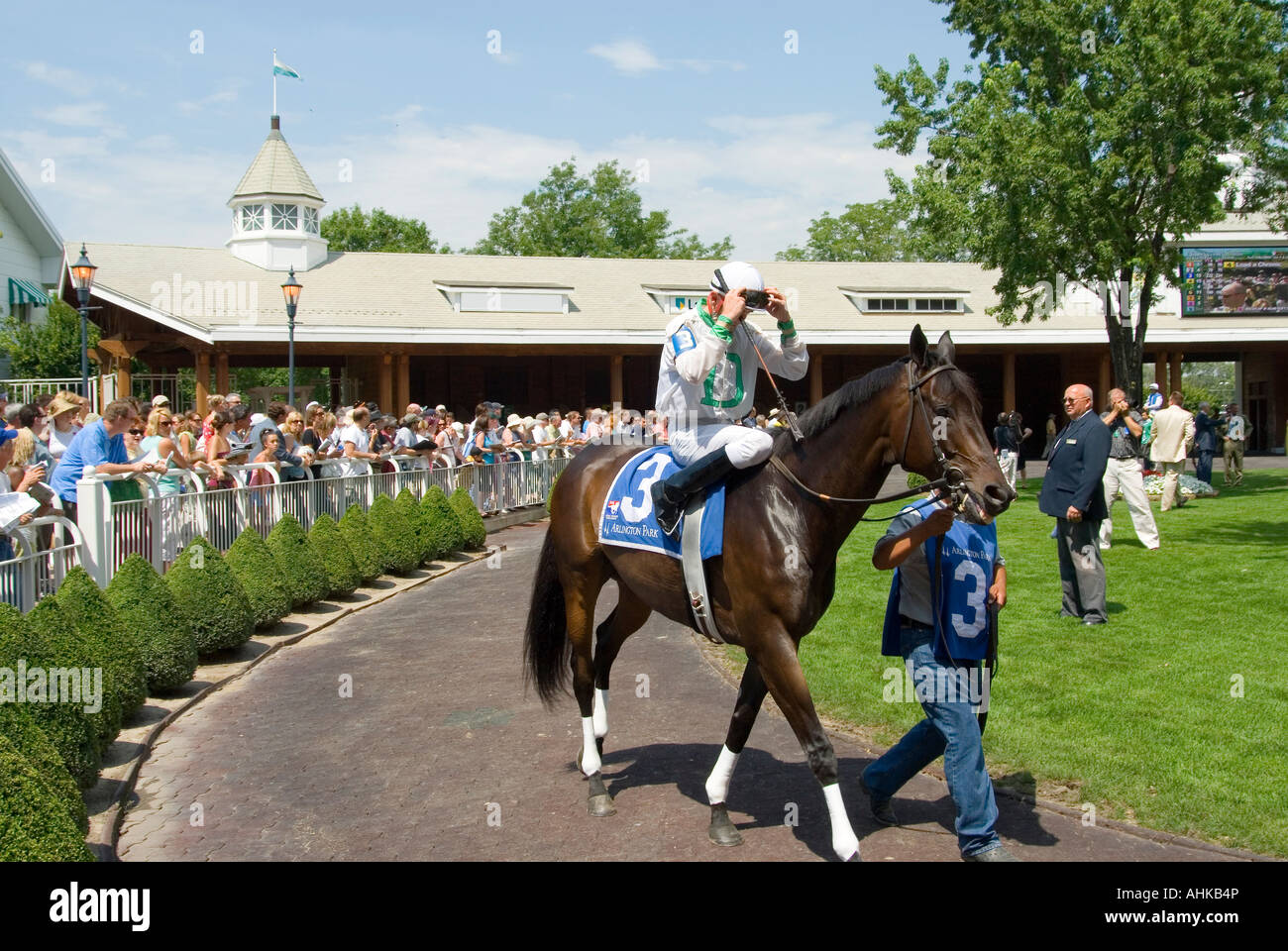 What Is The Paddock In Horse Racing at Susan Callahan blog